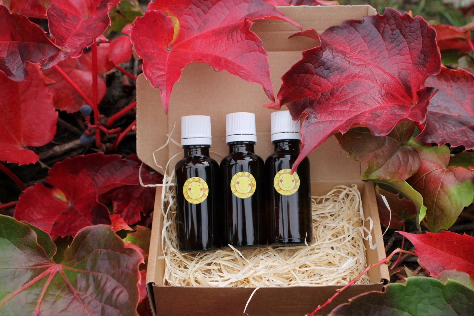 Tinktura z kalisie vonné - Bylinka Lenka